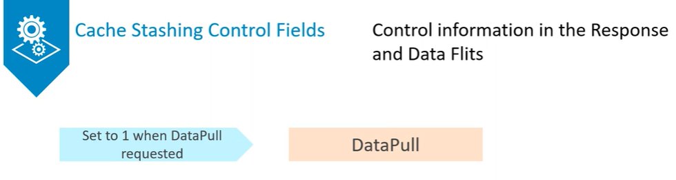 AMBA CHI （连载二） - 知乎