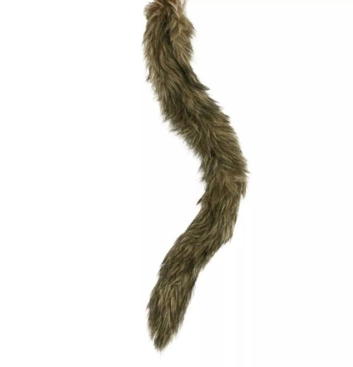 人类为何没有尾巴 - 知乎