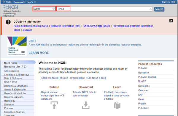想轻松、准确、快速设计好引物，你还差这几步！ - 知乎