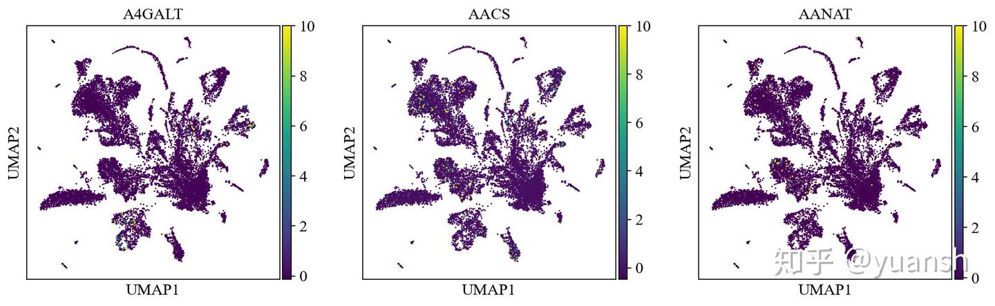 （单细胞-SingleCell）Scanpy流程——python 实现单细胞 Seurat 流程 - 知乎