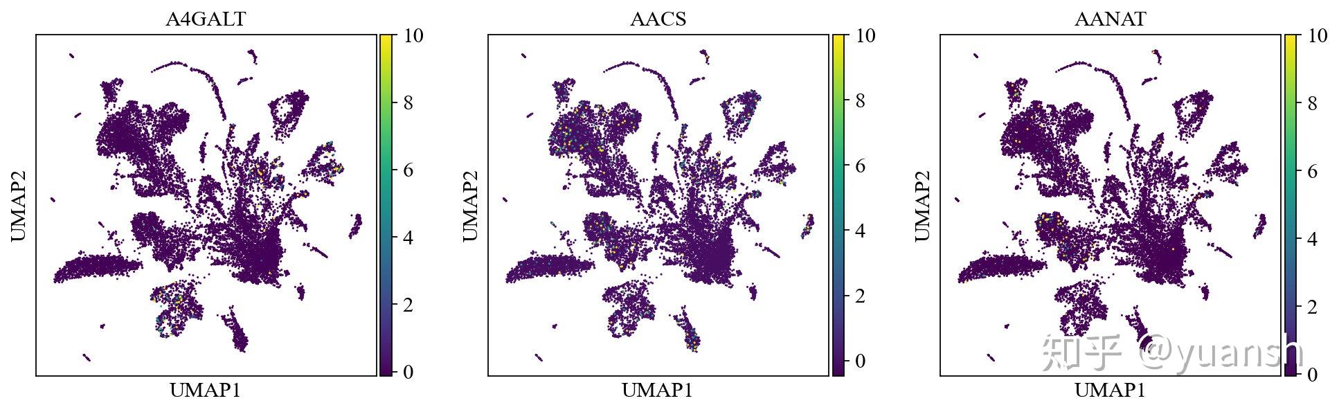 （单细胞-SingleCell）Scanpy流程——python 实现单细胞 Seurat 流程 - 知乎