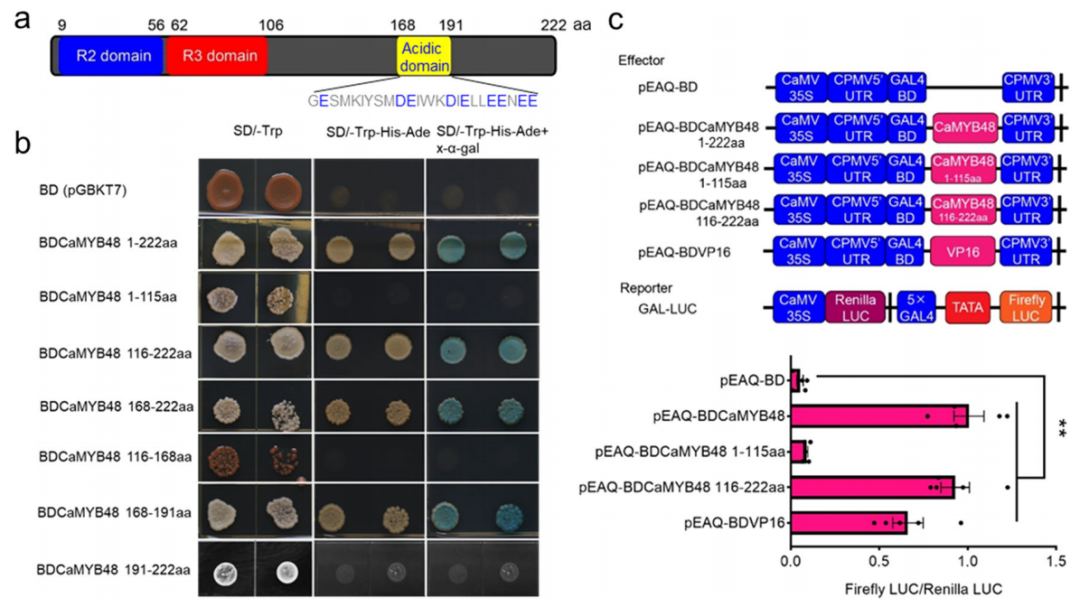 转录因子研究套路（三） - 知乎