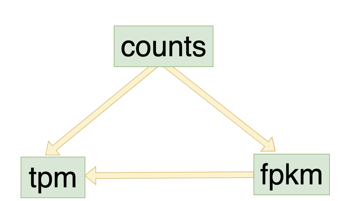 基因ID转换小白指南 | ENSEMBL、ENTREZID和SYMBOL的快速上手方法 - 知乎