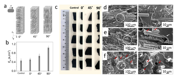 南洋理工Nature 材料子刊：3D 打印Bouligand结构的纤维增强复合材料抗冲击性能 - 知乎