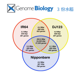 泛基因组(Pan-genome)研究思路与应用—作物篇 - 知乎