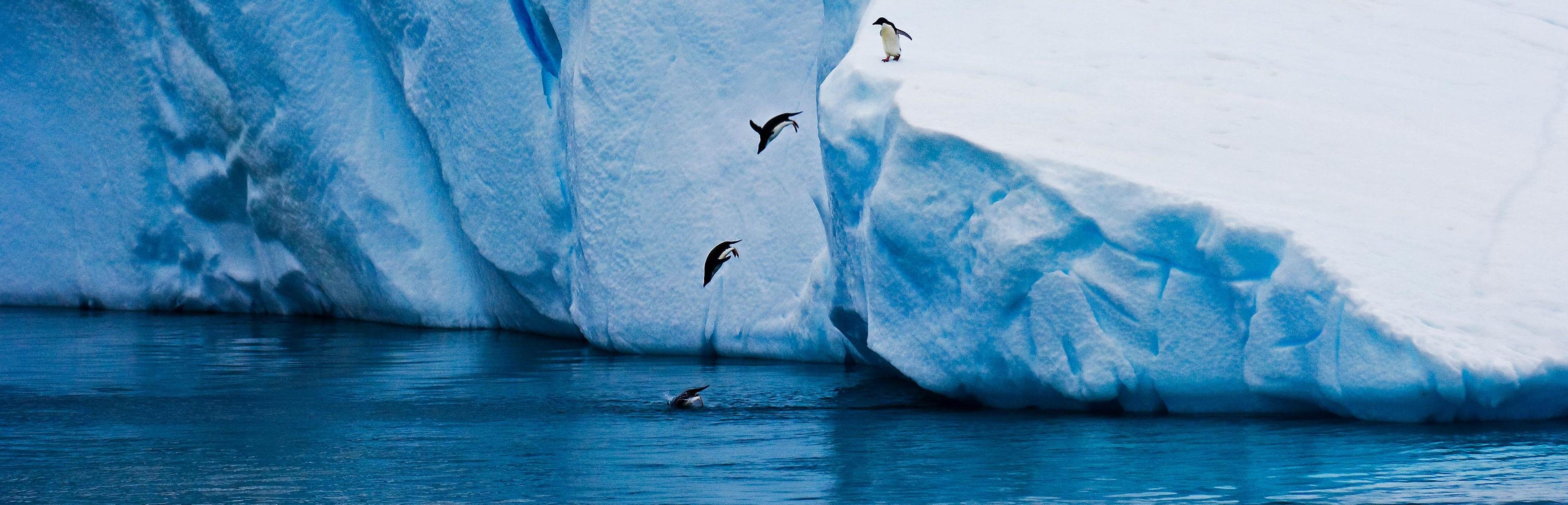 [MIT] 6.828 操作系统工程 - Lab Guide - 知乎