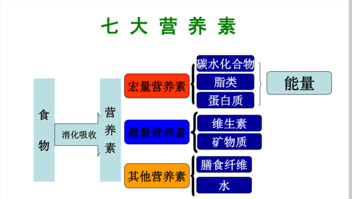 七大营养素与健康的关系 碳水化合物 知乎