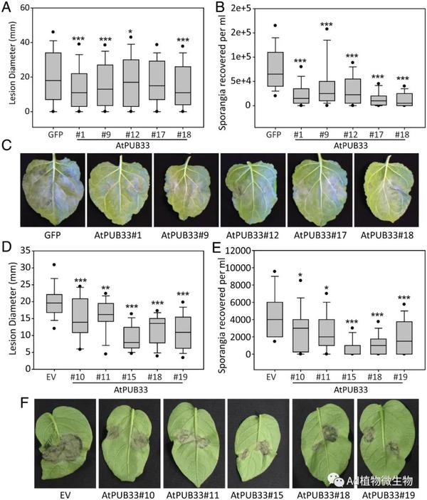 PNAS | 研究揭示利用非宿主抗性提高植物抗病能力的策略！ - 知乎