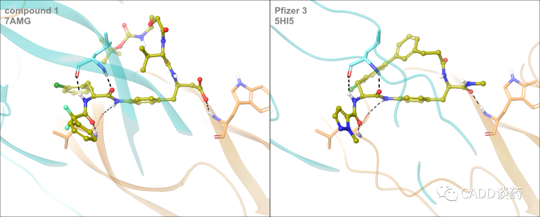 简谈DICE公司IL-17A分子 - 知乎