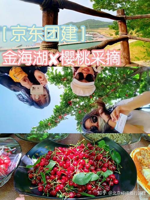 北京秋季团建如何玩儿?6个秋季团建活动打卡,好玩有趣团建指南(建议hr收藏) 知乎