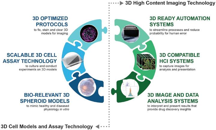 InSphero 3D微球培养板助力实体瘤细胞微球与免疫细胞共培养 - 知乎