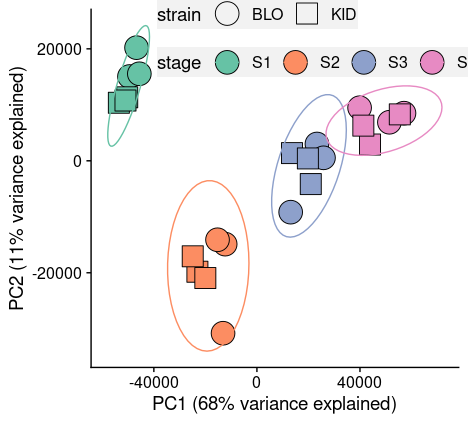 PCA图——组学必备 - 知乎