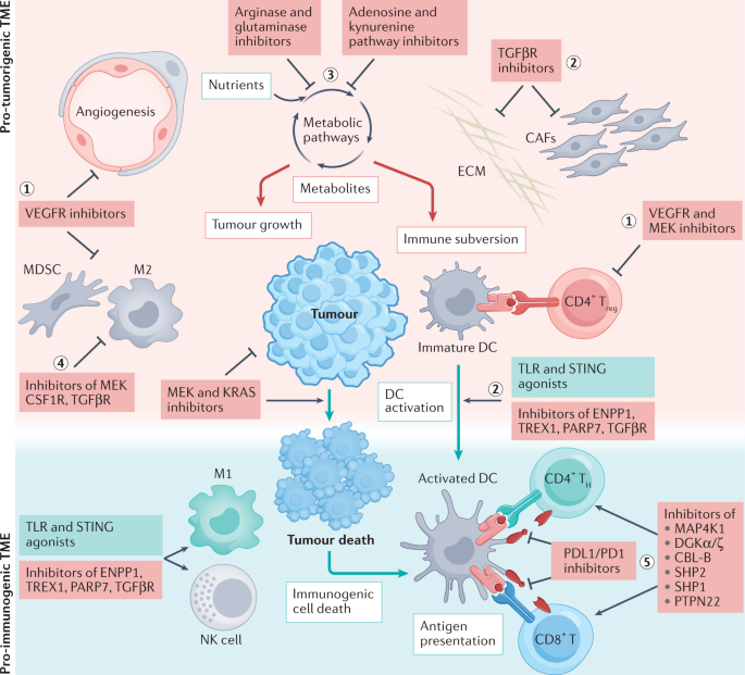 Narure：小分子在肿瘤免疫中的作用不断扩大 - 知乎