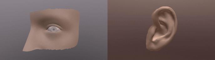 数字人基础 | 人脸3DMM的前世今生 - 知乎