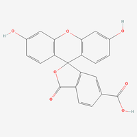6-FAM（6-羧基荧光素）；核苷酸染料 - 知乎