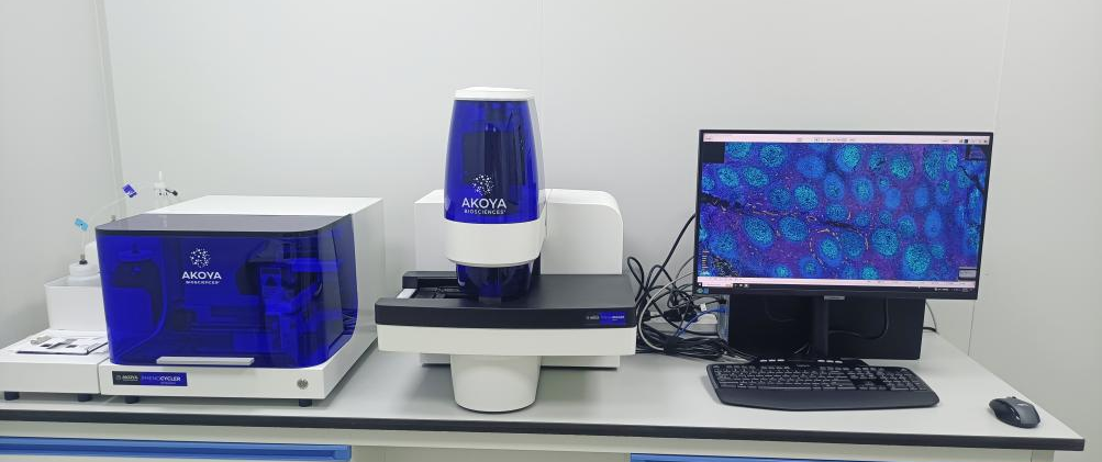 PhenoCycler-Fusion空间单细胞蛋白组学（简称PCF,原CODEX）发现免疫治疗反应关键的肿瘤微环境区域 - 知乎