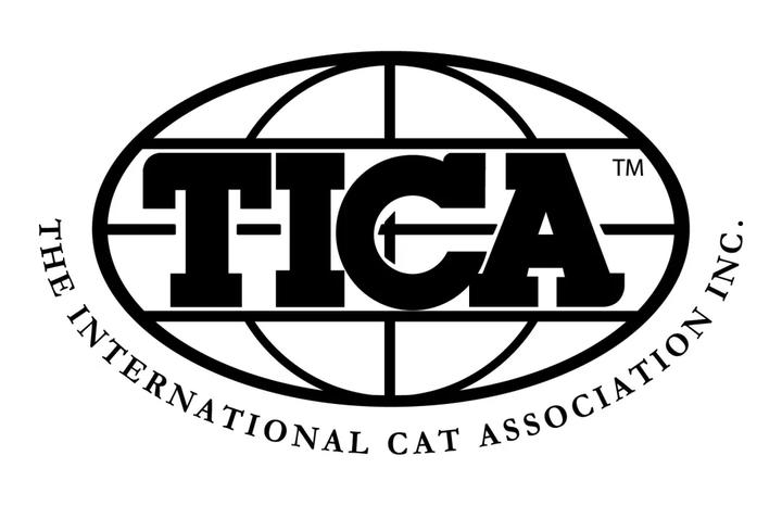 TICA 品种猫图鉴 （包含 79 个品种） - 知乎