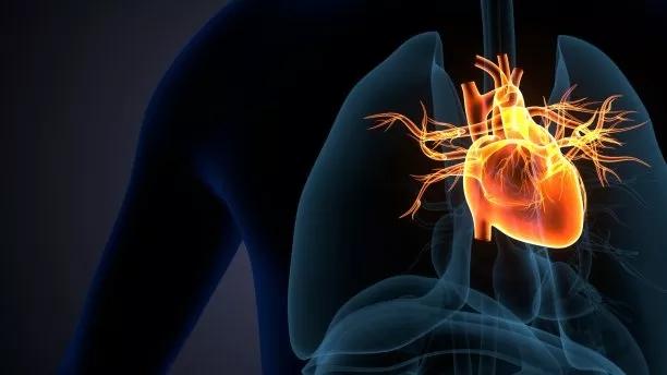 SCI论文官网：BASIC RESEARCH IN CARDIOLOGY - 知乎