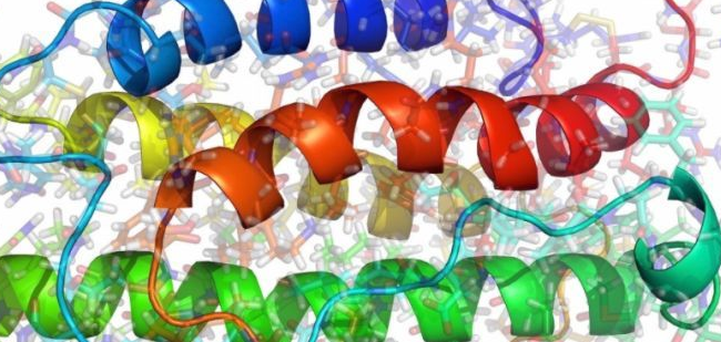 DBCO-PEG-Transferrin，DBCO-PEG-Casein，二苯并环辛炔-聚乙二醇-转铁蛋白，络蛋白 - 知乎