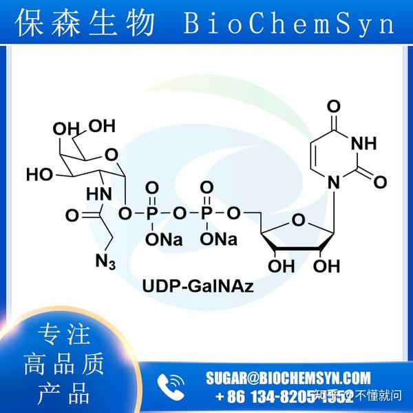 UDP-GalNAz；Uridine5‘-diphospho-N-acetylazidogalactosamine Disodium salt ...