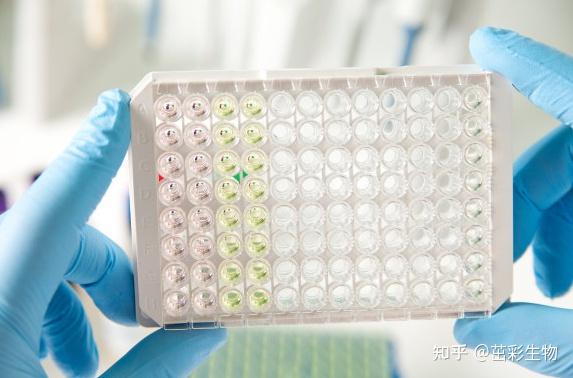 人补体因子D(CFD)ELISA试剂盒 - 知乎