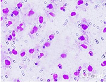 Figcheck 图片查重工具 - 知乎