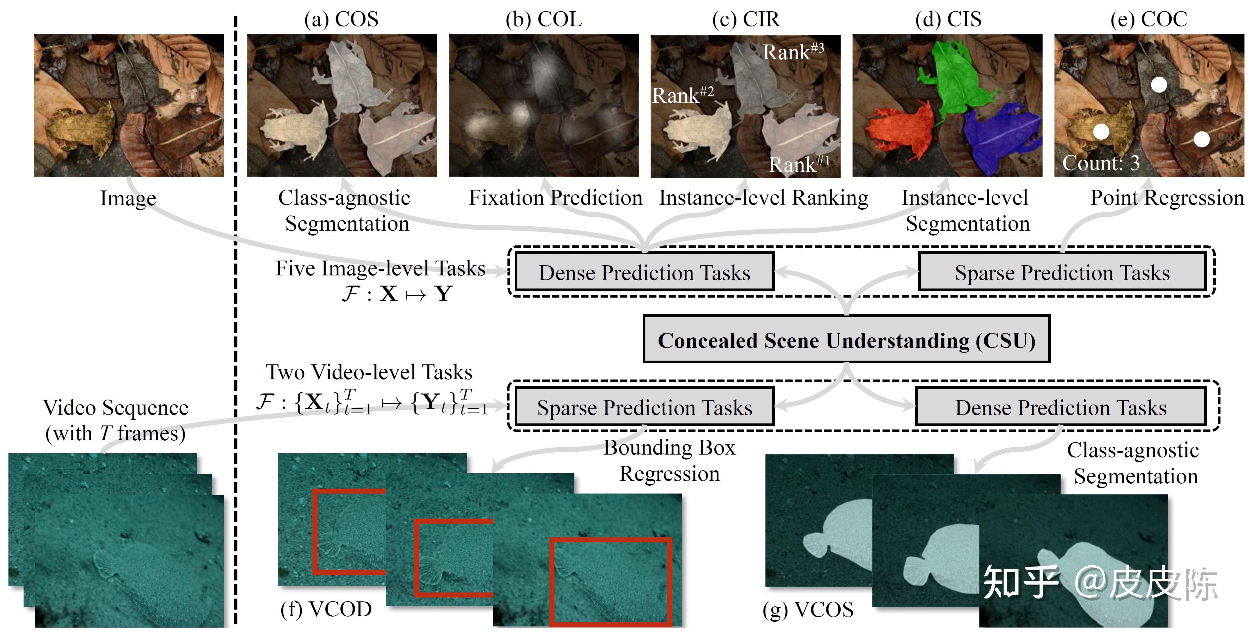 Csu综述 Advances In Deep Concealed Scene Understanding 1 知乎