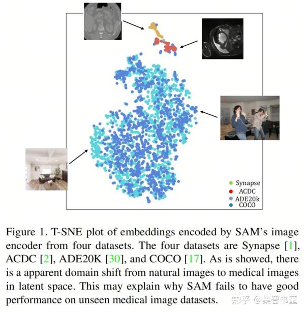 医疗SAM也来啦 | AutoSAM告诉你如何在医疗领域更快更好开发大模型 - 知乎