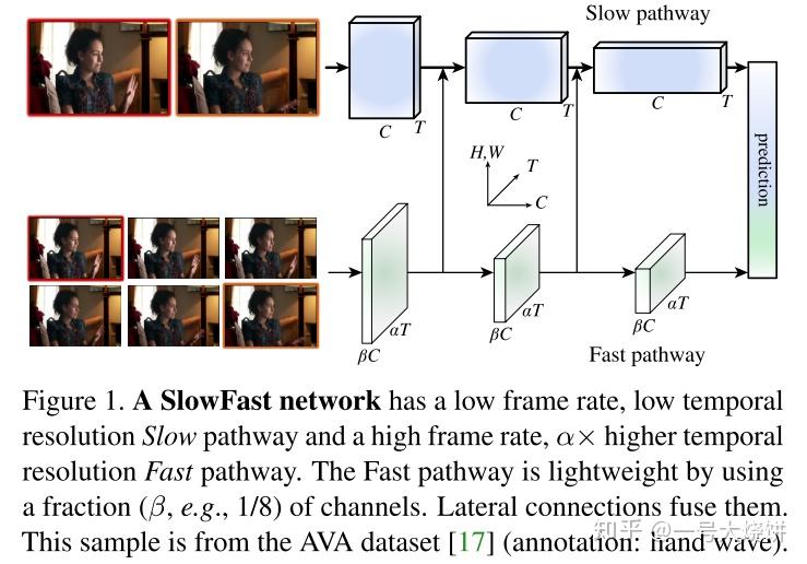 论文笔记：SlowFast Networks - 知乎