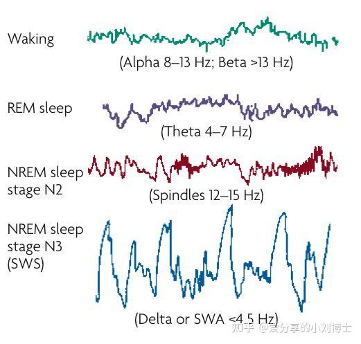 你应该知道的关于睡眠的健康知识 - 知乎