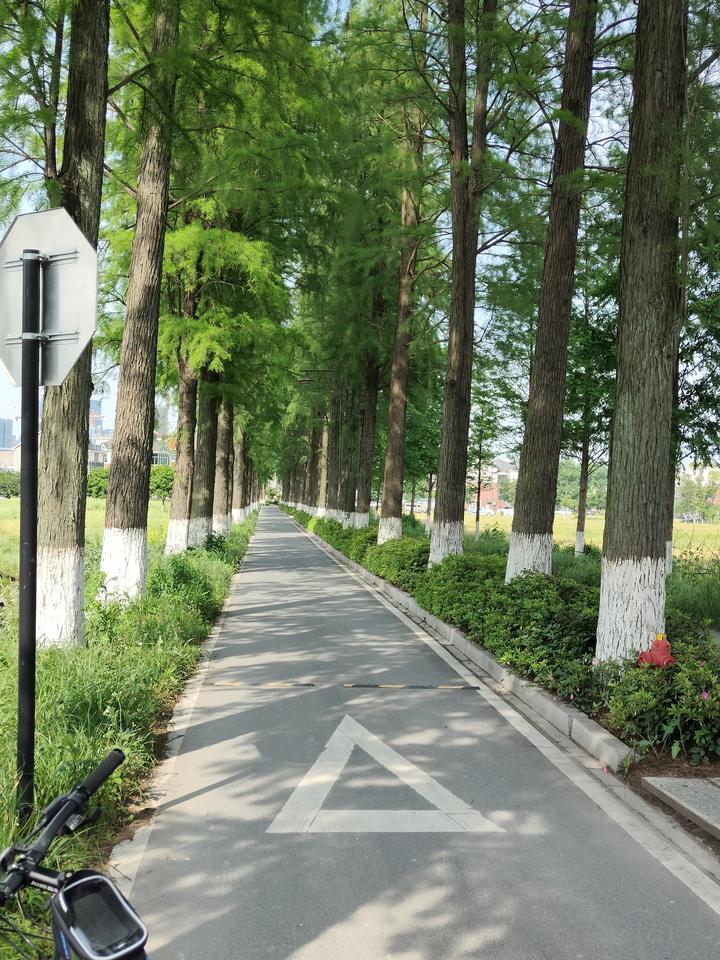 PSM-DID方法原理与应用（Ⅰ） - 知乎