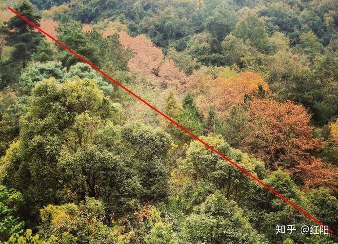 手机摄影构图你真的会用吗？ - 知乎