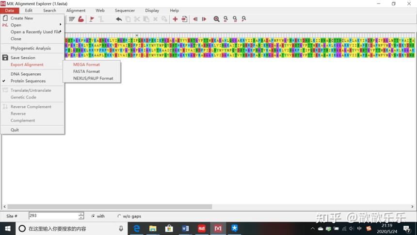 聊聊使用MEGA软件的方法和步骤，构建不同类型的序列进化树！ - 知乎