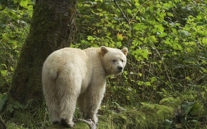 Python-joblib模块 - 知乎