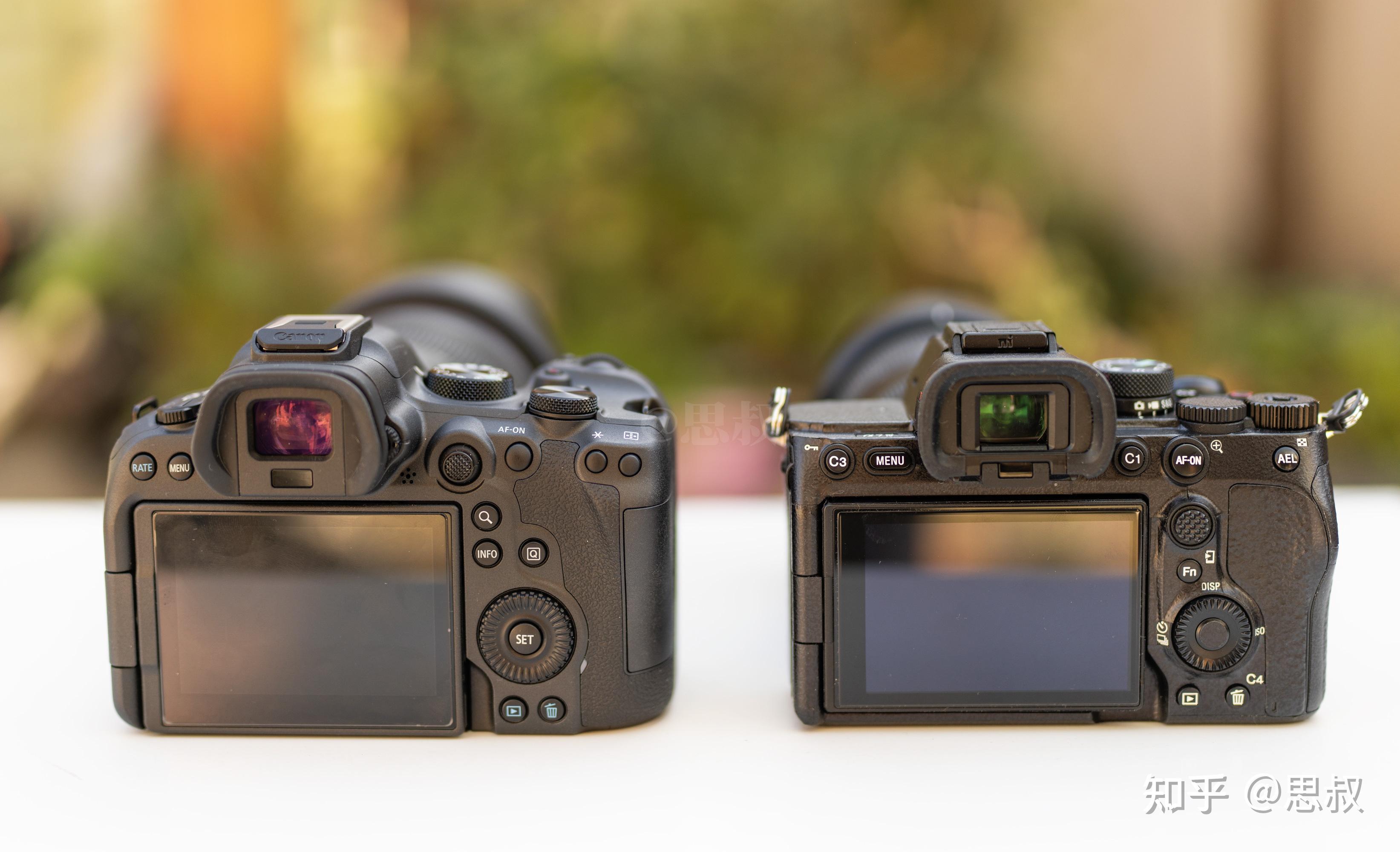 佳能R6 Mark Ⅱ和索尼A7M4怎么选? - 知乎