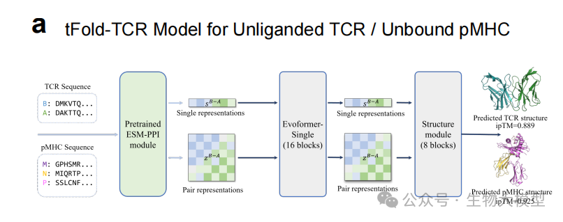 AI大模型赋能免疫系统研究：腾讯推出tFold-TCR，实现T细胞受体-抗原复合物的快速精准建模 - 知乎
