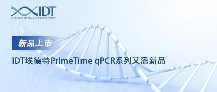 【新品上市】 Idt埃德特primetime Qpcr系列又添新品 知乎