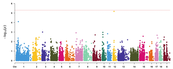 多性状GWAS结果如何合并做曼哈顿图！ - 知乎