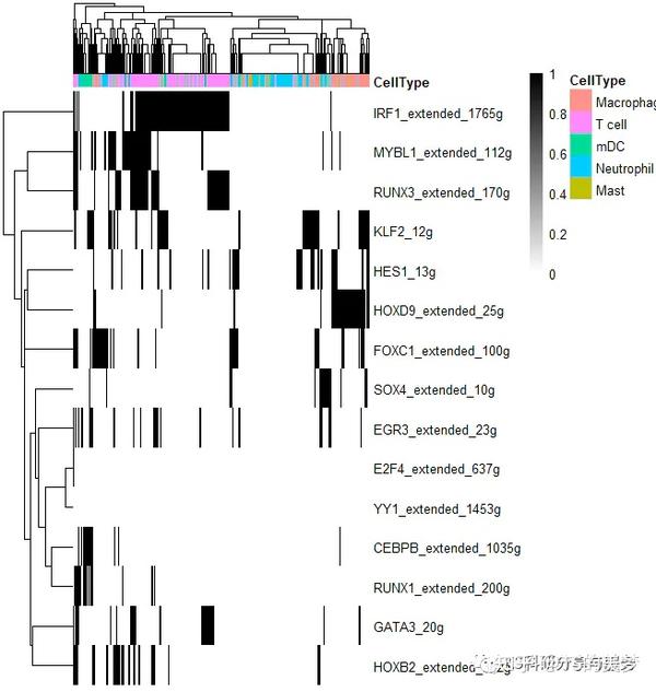 跟着Cell学单细胞转录组分析(十二):转录因子分析 - 知乎