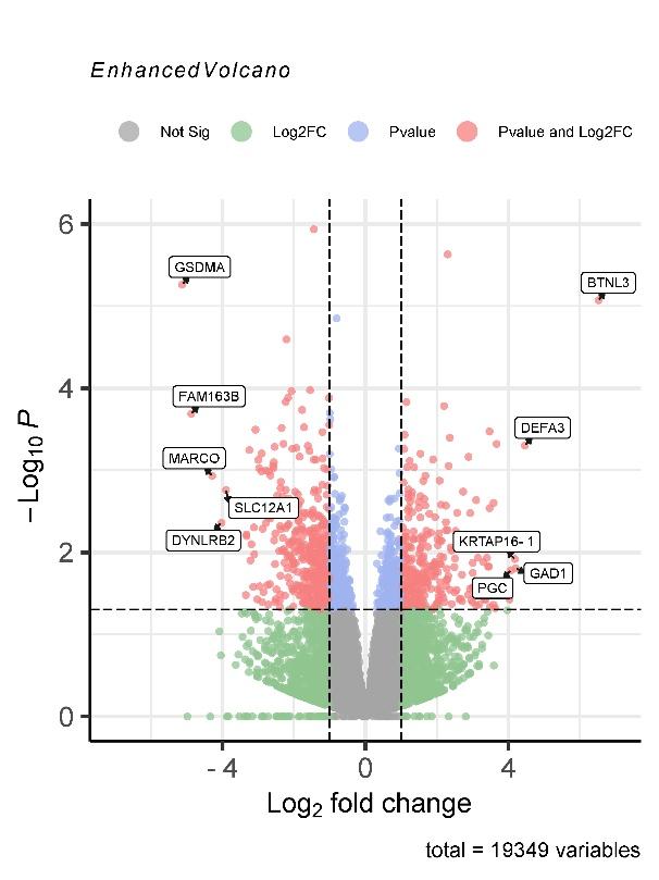 美美的火山图，带基因标注哦 - 知乎