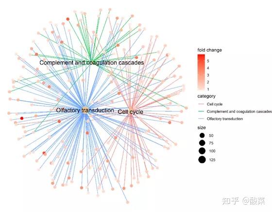 史上最全GSEA可视化教程，今天让你彻底搞懂GSEA！ - 知乎