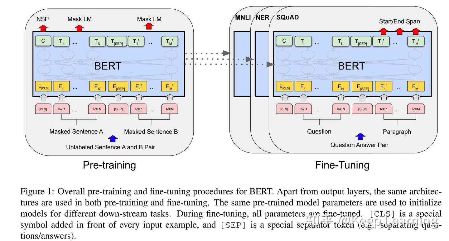 BERT模型系列大全解读 - 知乎
