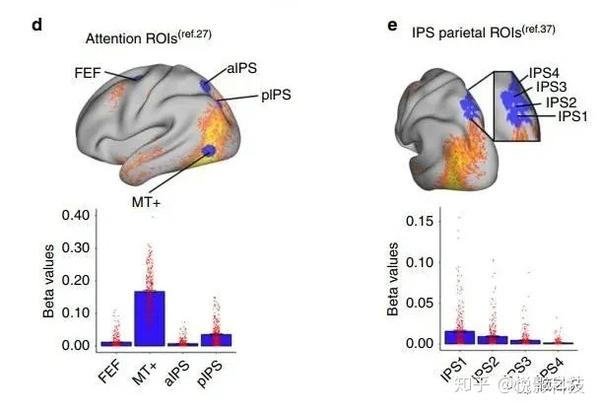 Nature communications：VWFA，一个集语言与注意于一身的脑区 - 知乎