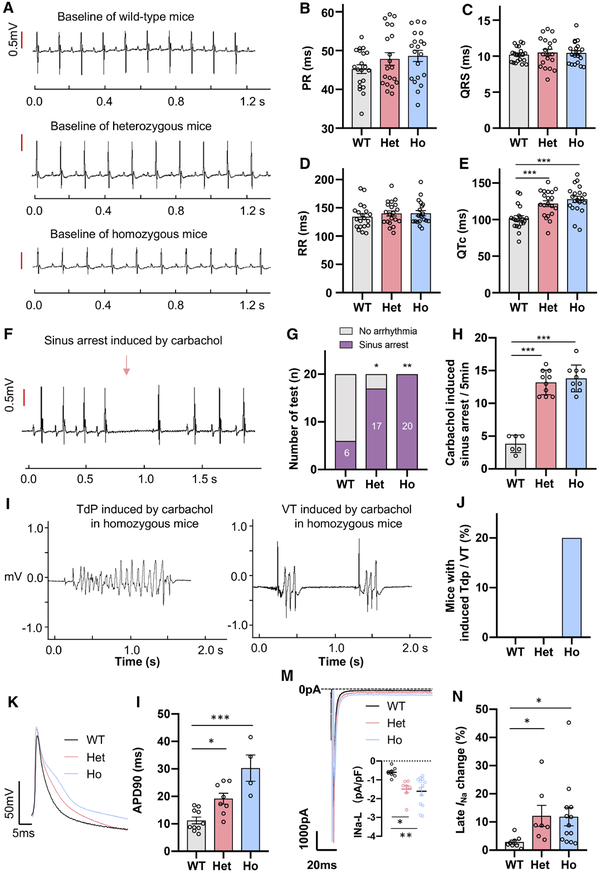 Scn5a 的体内碱基编辑可治疗小鼠LQT3 综合征 - 知乎