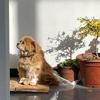 CAN总线通讯-J1939协议中的PGN和SPN讲解 - 知乎