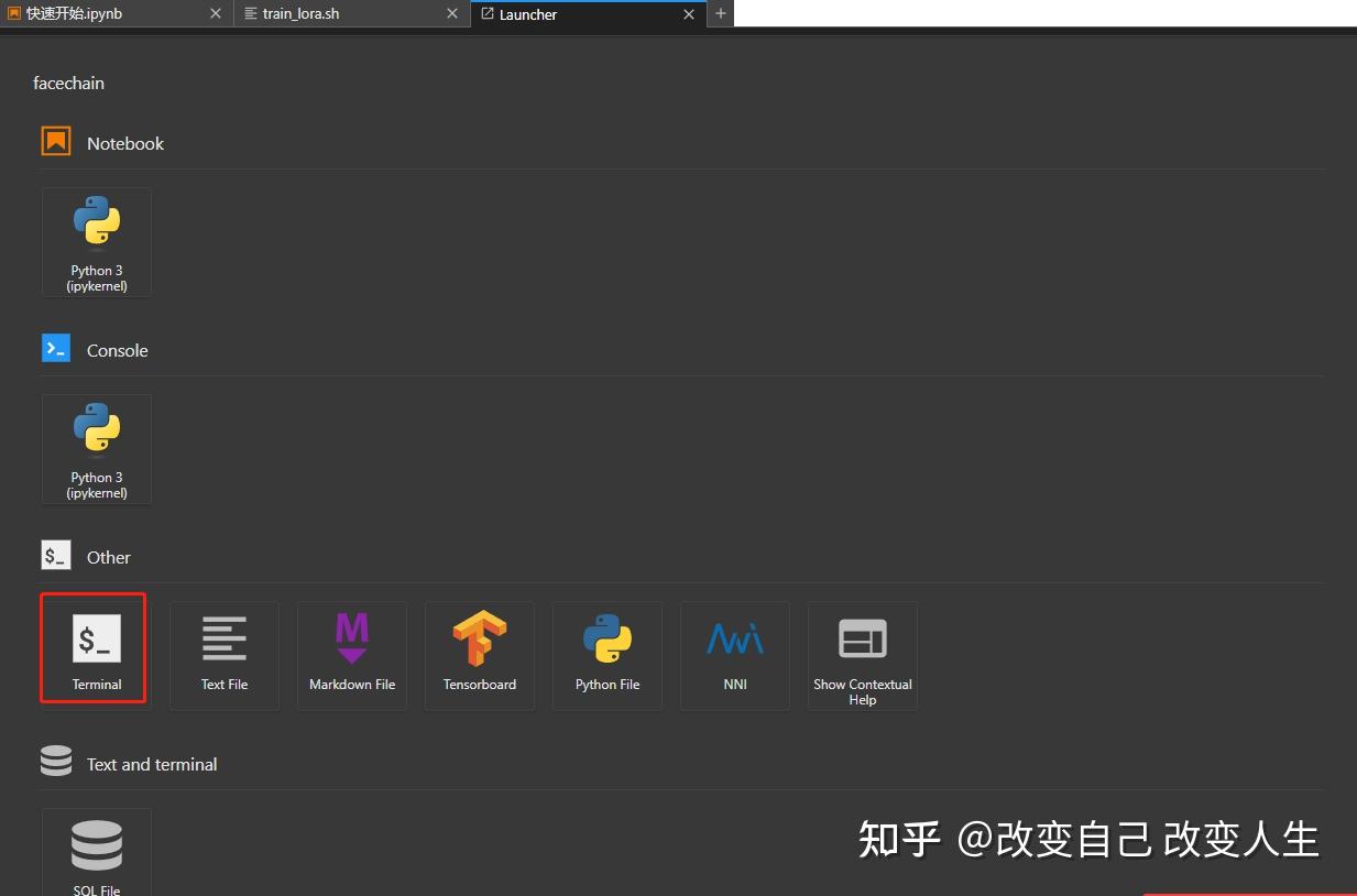 Facechain系列（3）-- 定制Lora(ModelScope) - 知乎