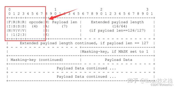 一文带你秒懂 字节序(byte order)，比特序(bit order)，位域(bit field) - 知乎