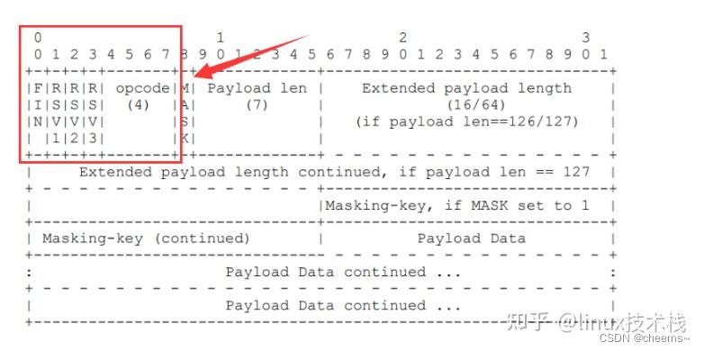 一文带你秒懂 字节序(byte order)，比特序(bit order)，位域(bit field) - 知乎