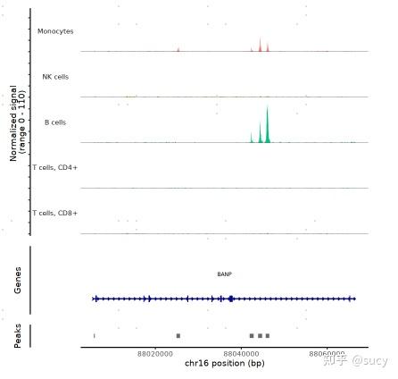 单细胞ATAC - 知乎
