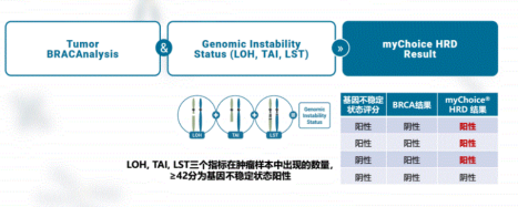 肿瘤治疗中同源重组修复缺陷（HRD）检测的意义与价值 - 知乎